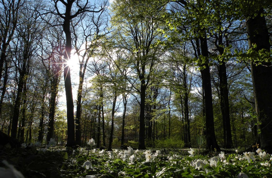 Om Valhall Park - Valhall Park Hotell